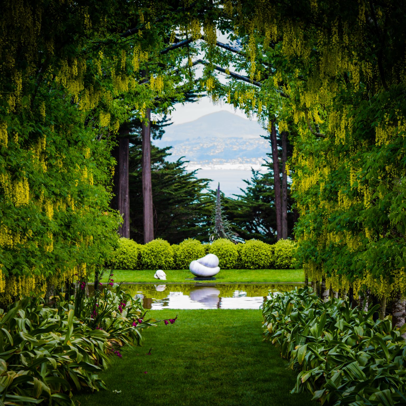 Larnach Castle & Gardens: A Historic Gem in New Zealand | Kenzly