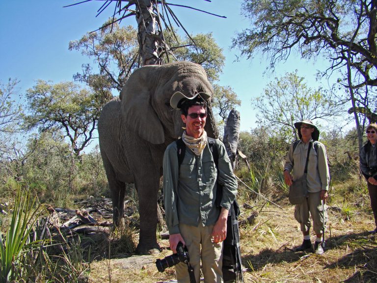 Moremi Wildlife Reserve: A Pristine Safari Paradise in Botswana | Kenzly